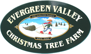 Tree Life Christmas Tree Nutrient – Shop Evergreen Valley Christmas Trees
